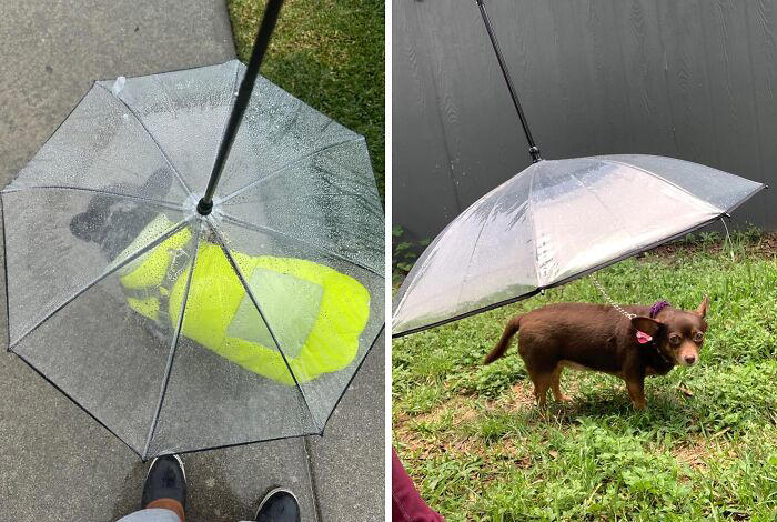 20 products to make you wonder why you ever did things the boring way