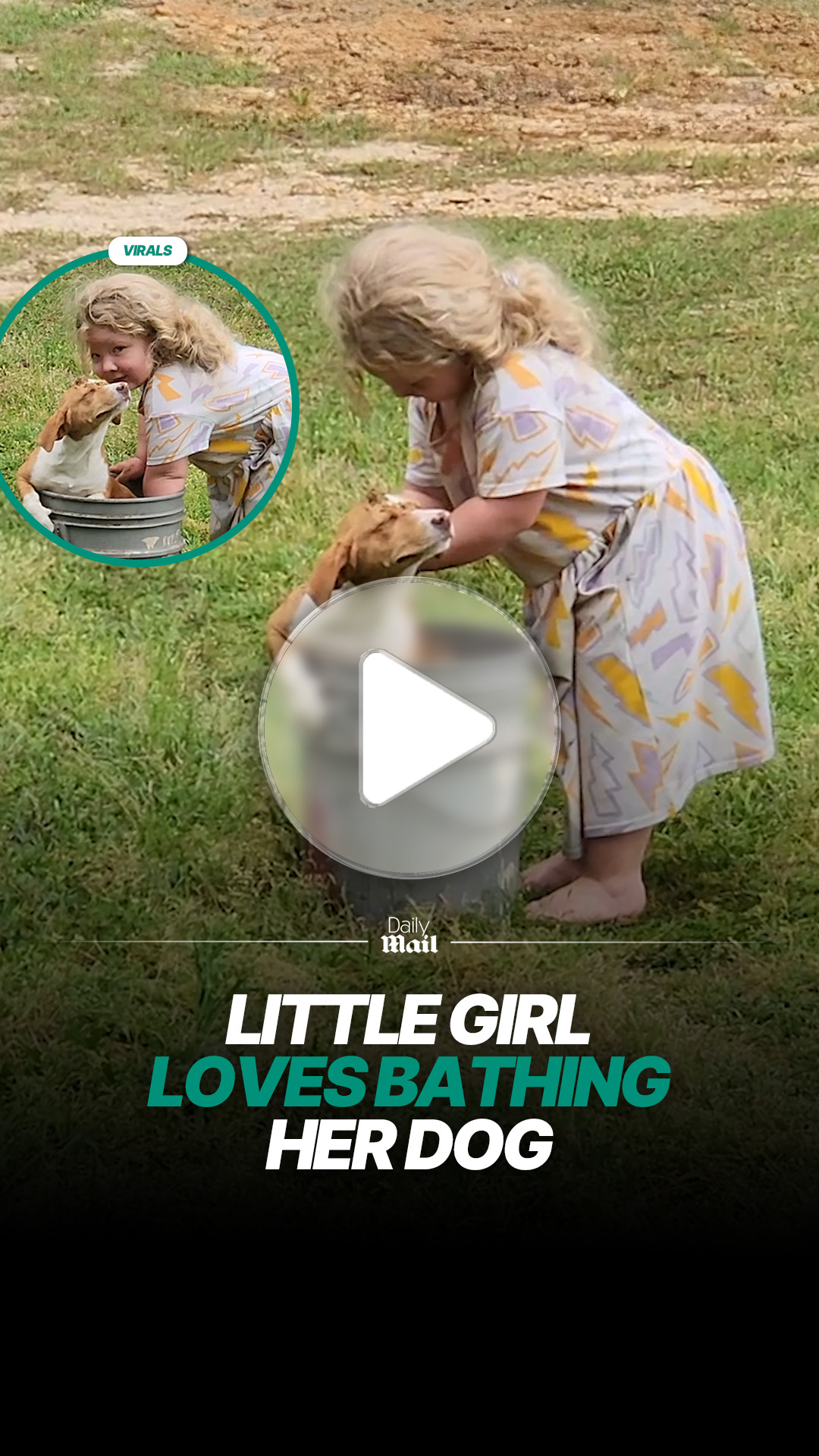Little girl happily bathes her dog at home