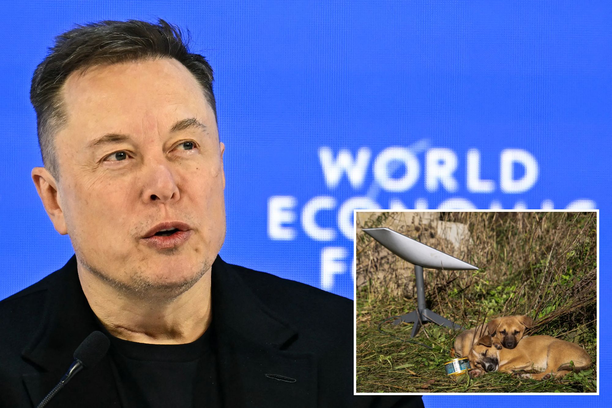 Elon Musk stops Russian killer drones from hijacking Starlink to strike ...