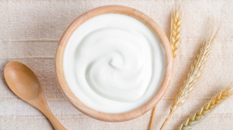 The absolute best sour cream substitutes