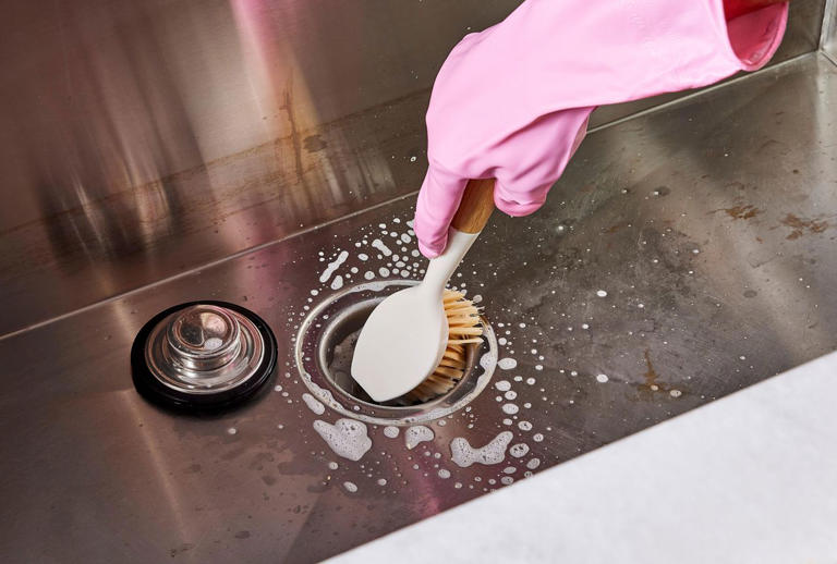 How to get rid of gnats in your home (for good)