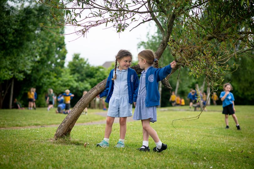 Large Welsh primary school given glowing inspection report