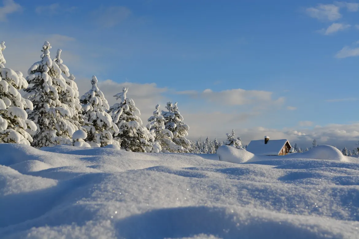 20 natural signs people used to predict winter weather