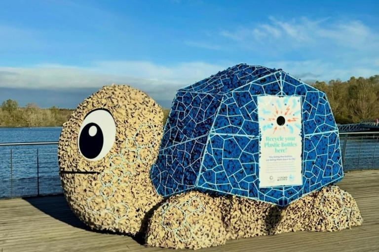 Rushden Lakes unveils recycled turtle sculpture and invites public to ...