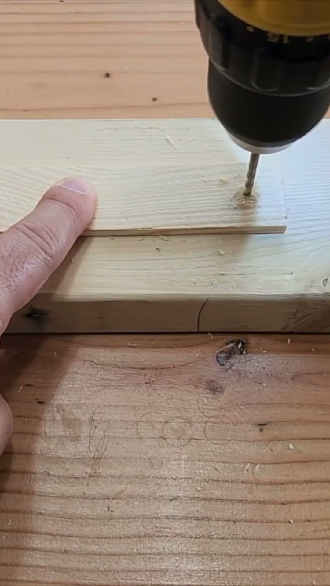 Grab a Dollar Tree solar light and a tomato cage 💡