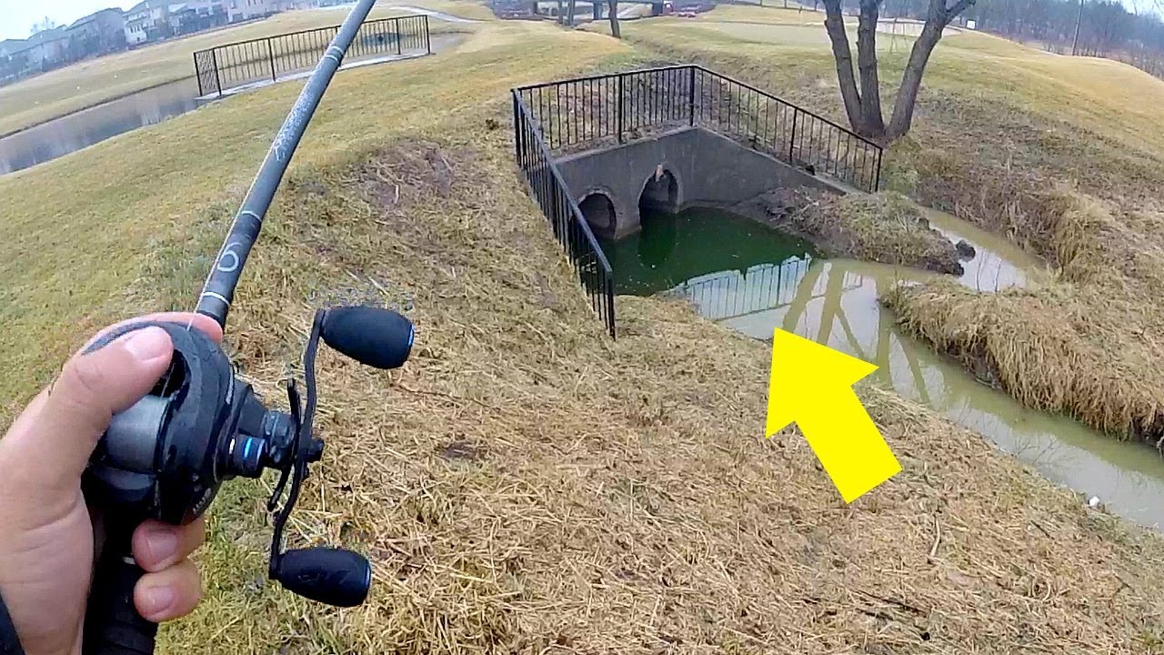 Bizarre storm catch reveals a new hot fishing pond