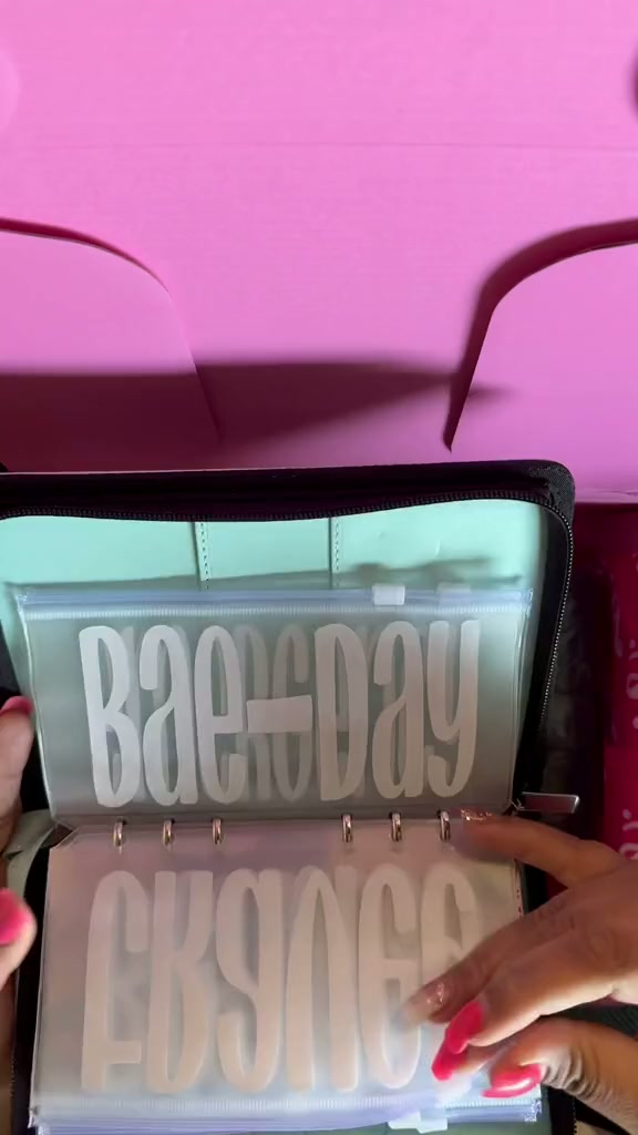 Pack a pink budget binder box order with me