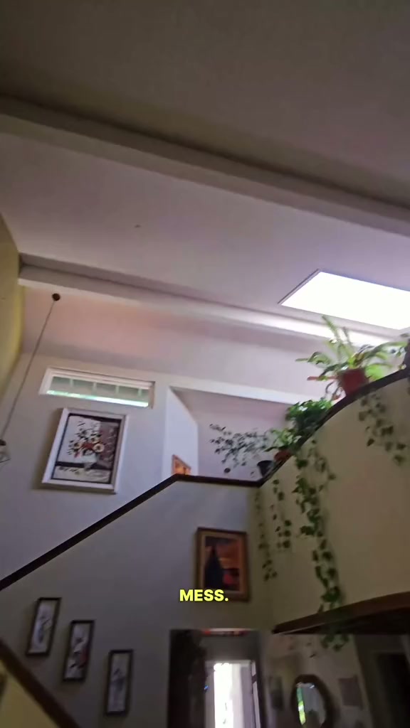 Massive hidden beehive discovered inside living room wall