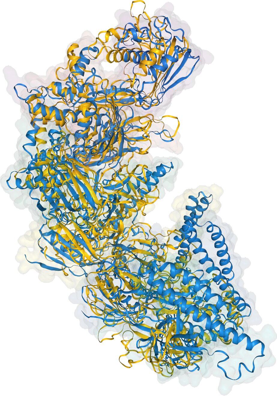 Seoul National University's ultra-fast protein evolution analysis