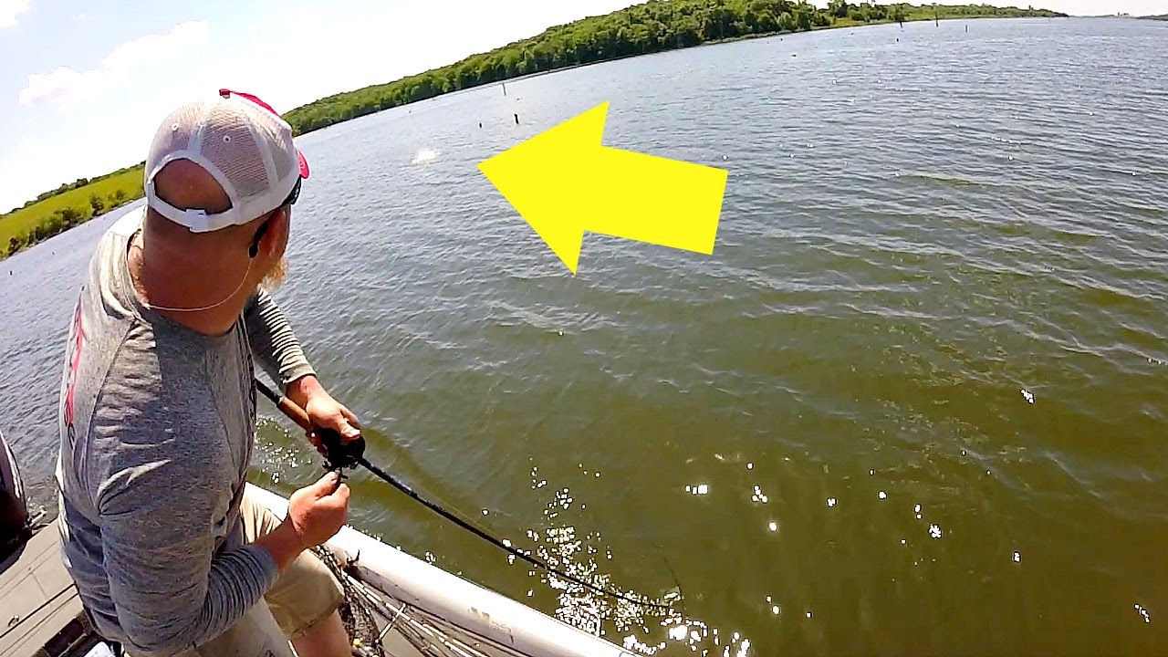 Summer bass fishing tournament produces shocking competition results