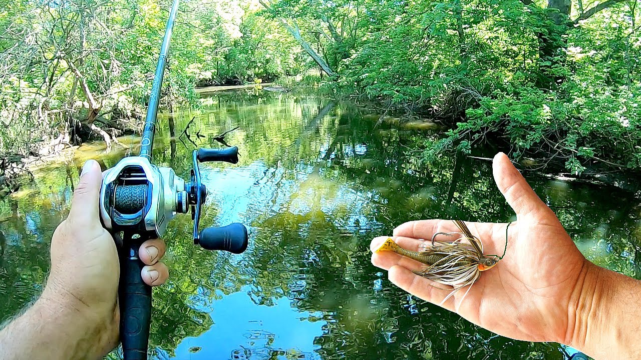 Miles of creek searching pay off with massive fish