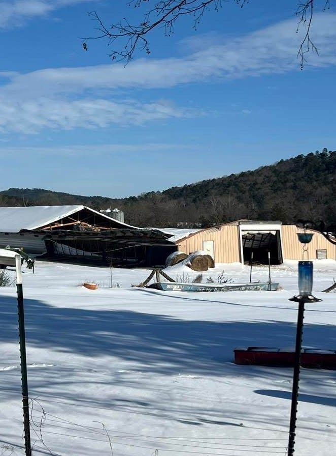 Winter storm leaves Yell County poultry producers with heavy damage