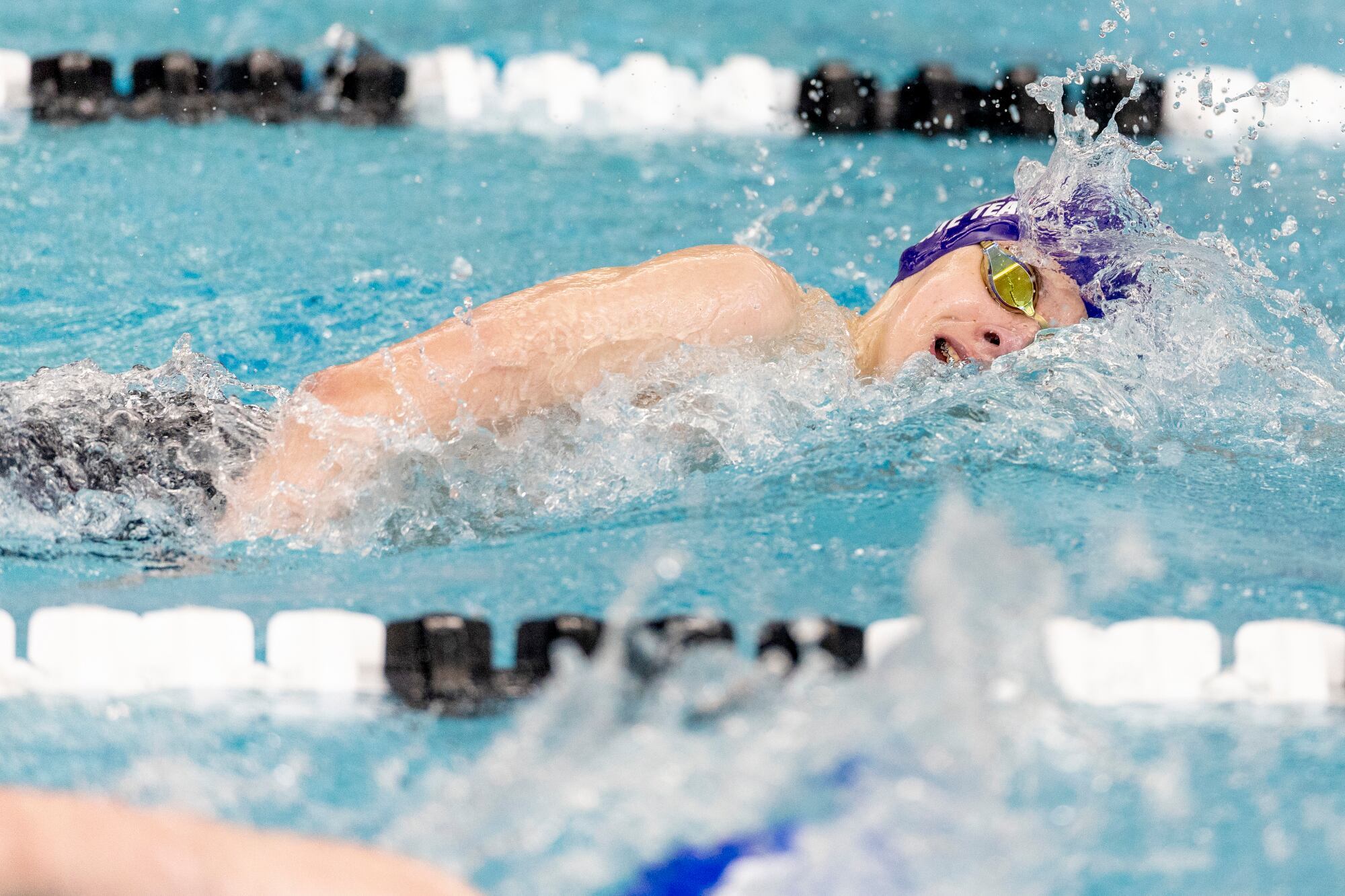 Ann Arbor-area boys swim and dive leaders as of Jan. 29