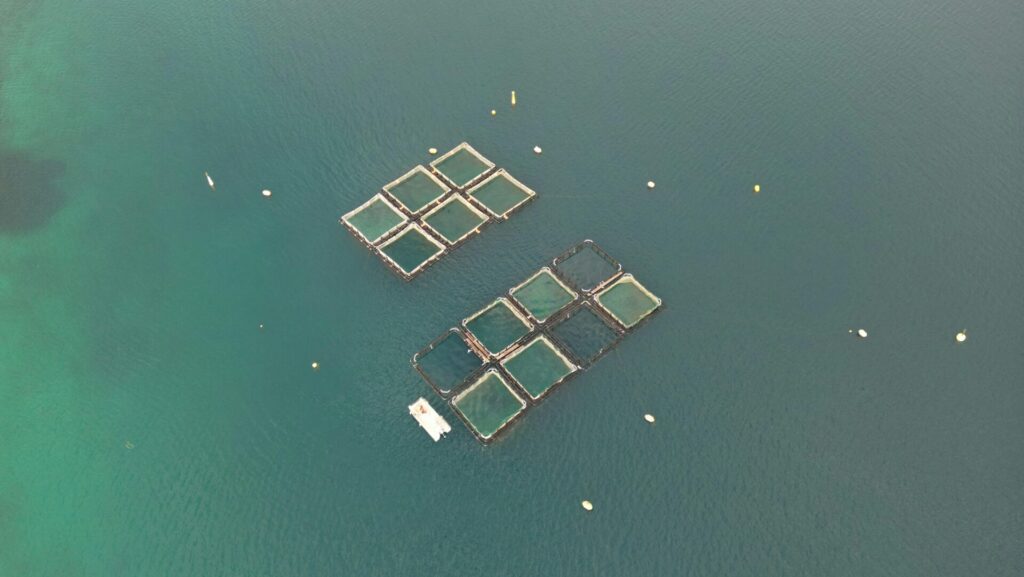 Fish farm raises alarms over potential environmental damage