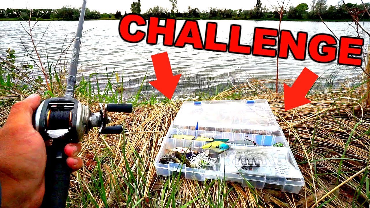 Bank fishing challenge succeeds using single box of baits