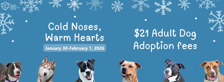 Cold noses, warm hearts: Cleveland APL reduces adult dog adoption fees ...