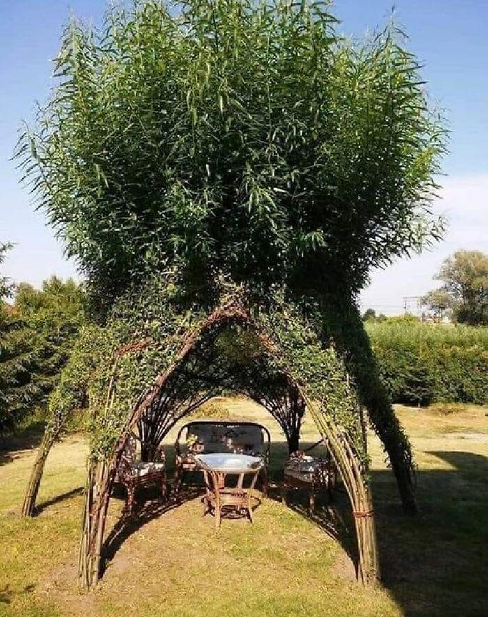 50 times people executed brilliant home design ideas