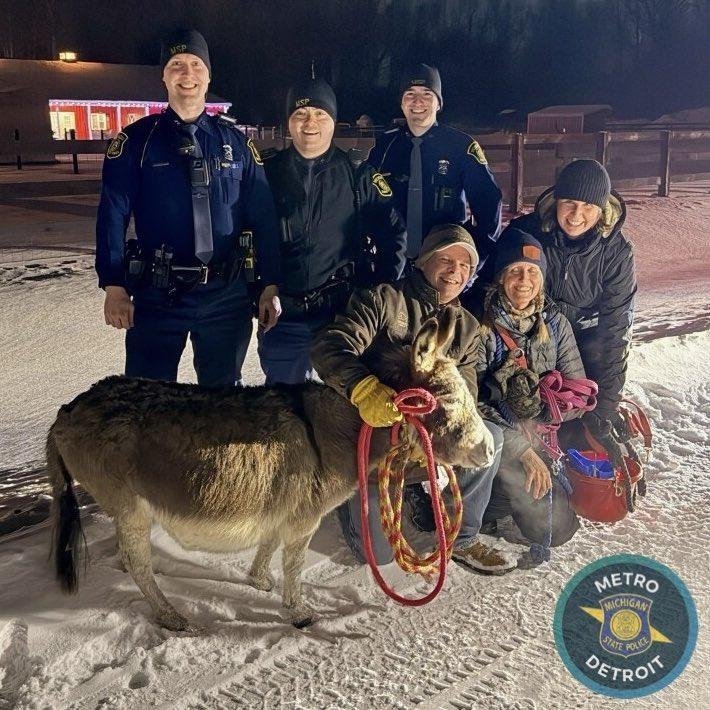 Look: Michigan State Police capture mini donkey named Dolly Parton