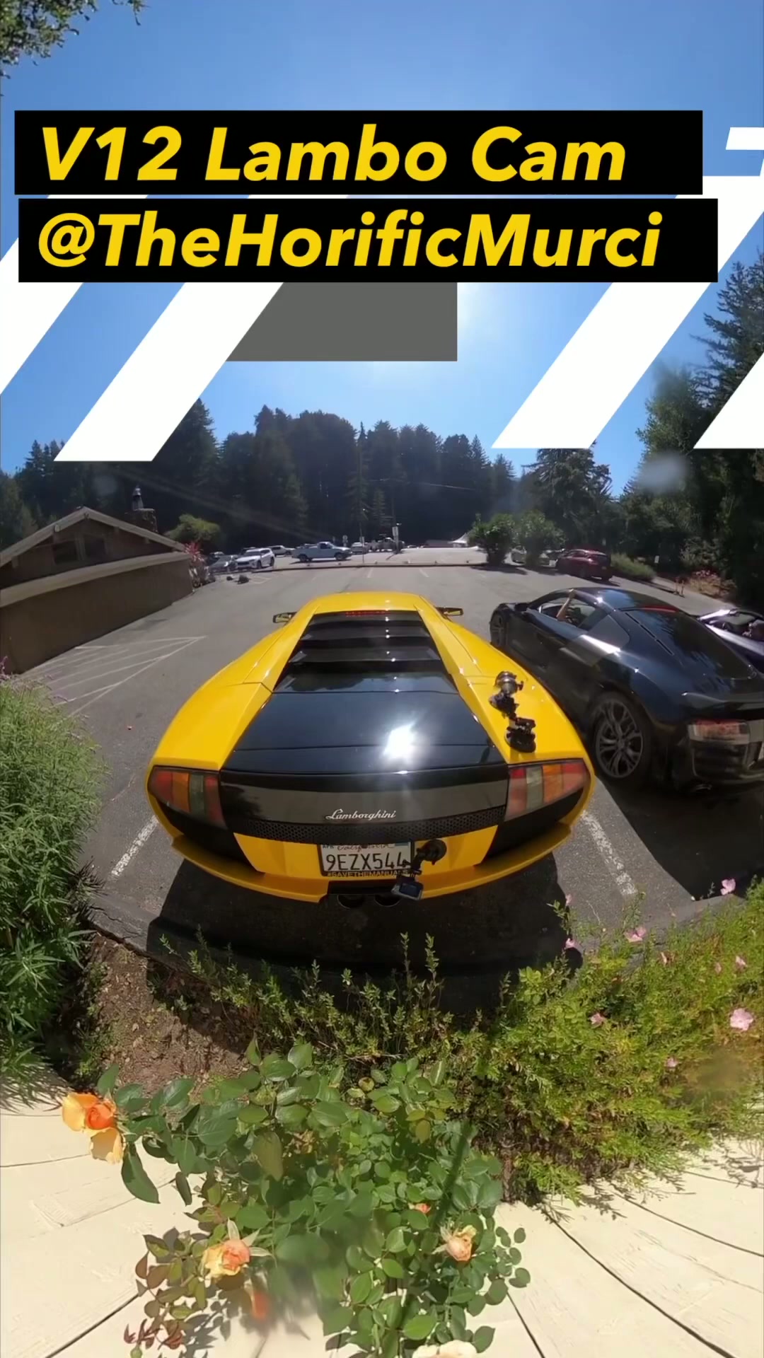 Lamborghini Murcielago V12 exhaust start up