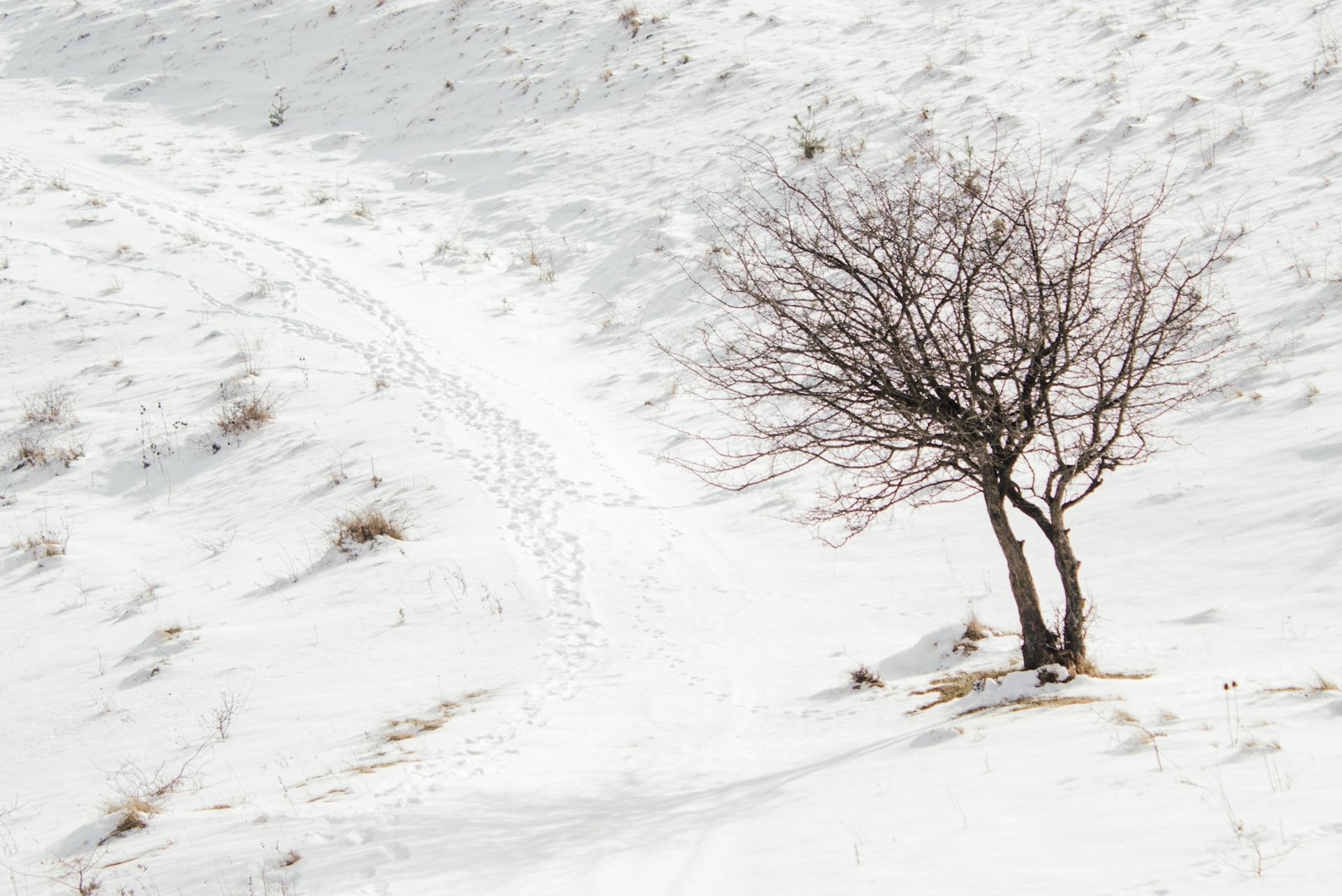What unsettled weather could mean for snow in Lancashire this week