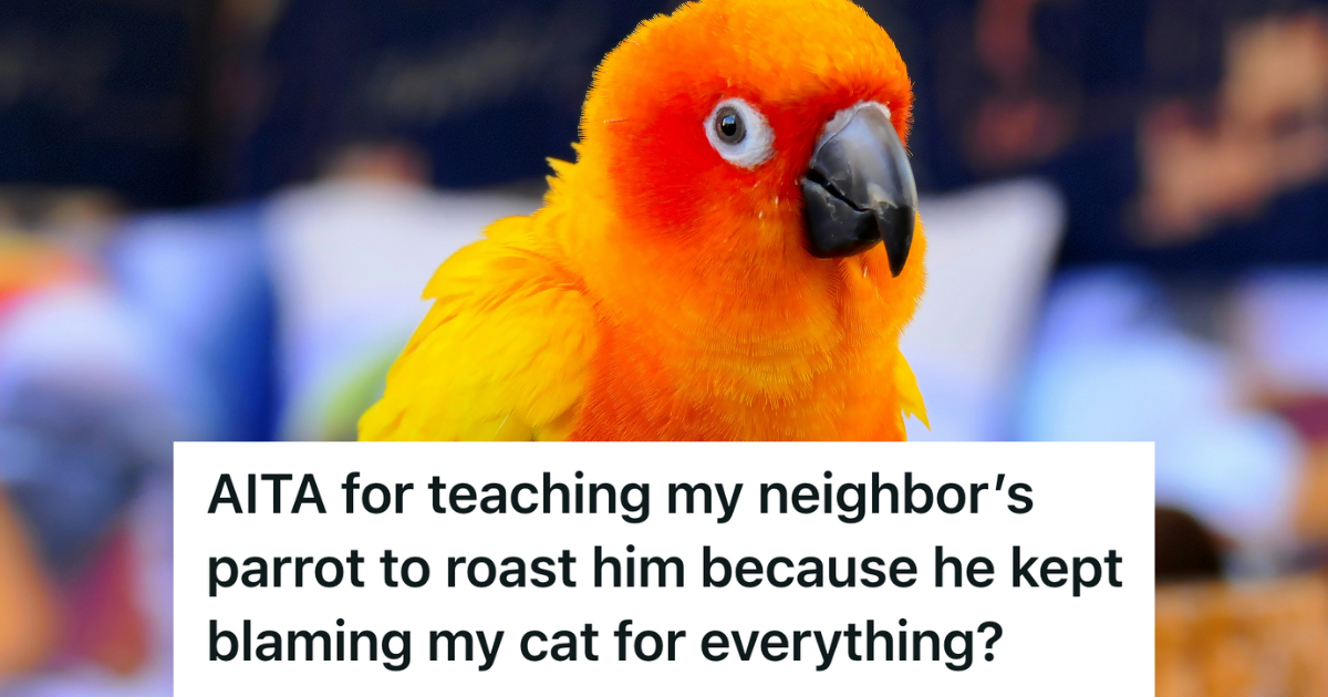 A tenant endured months of her neighbor blaming her cat for everything ...