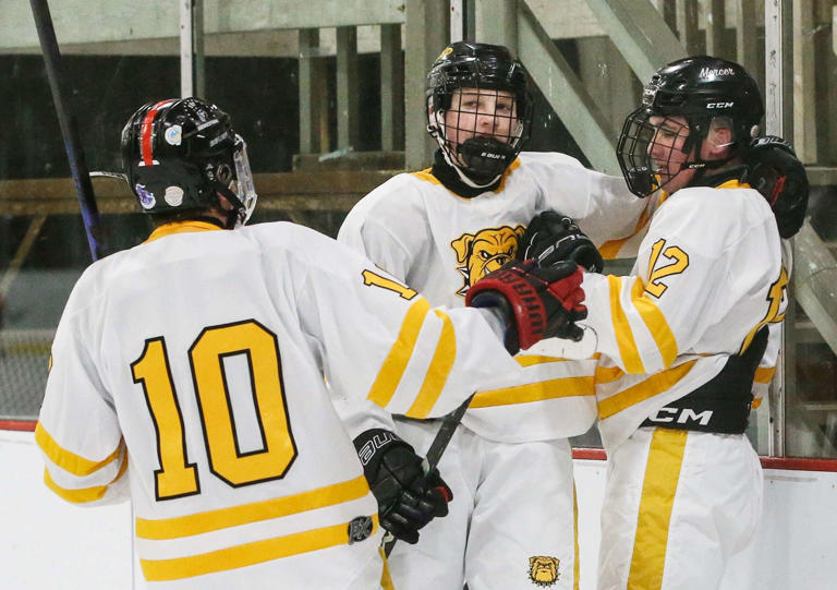 NJ hockey offensive players of the week for Jan. 29