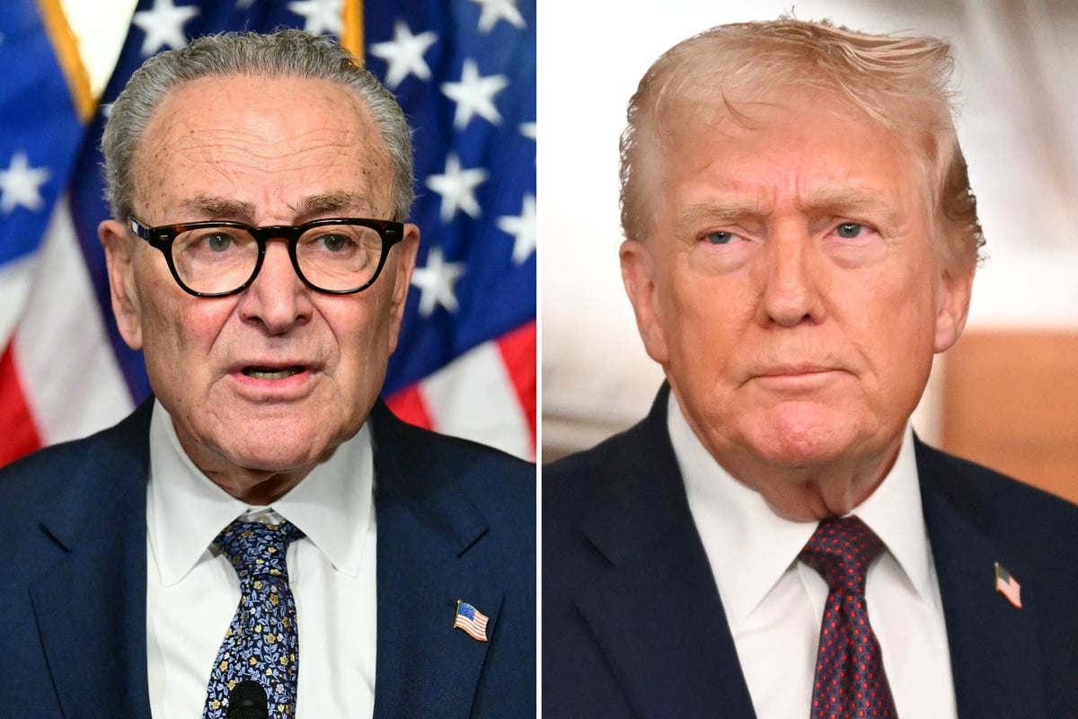 Schumer and Trump close to DHS funding deal to avoid government shutdown