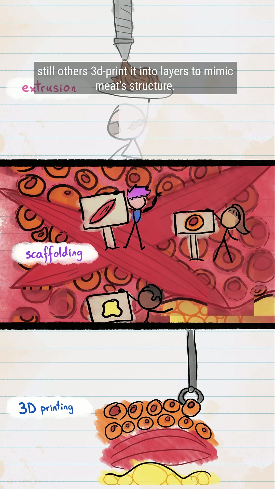 How scientists are growing meat without killing animals