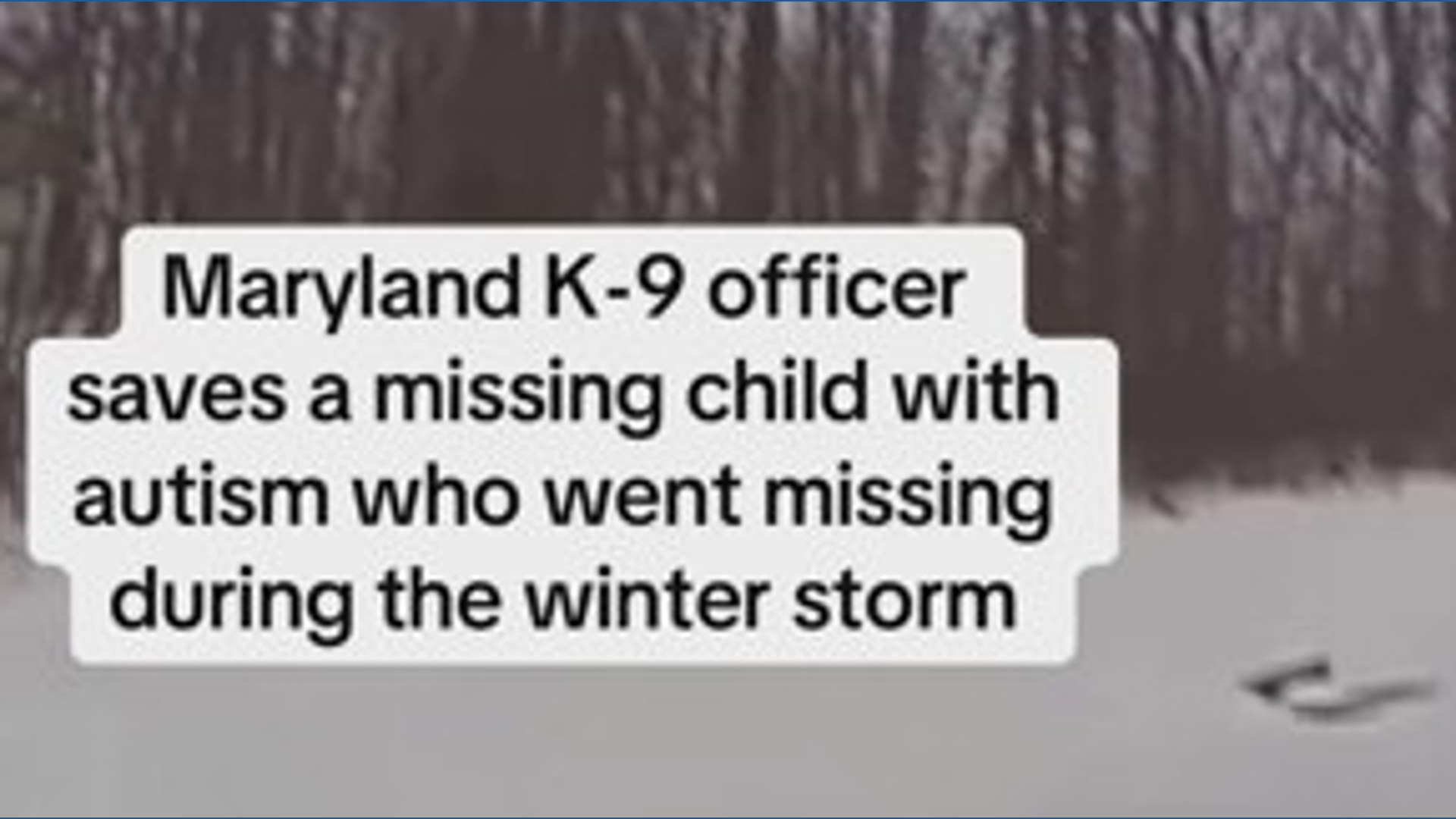A Maryland K-9 officer helped save an autistic teen who went missing ...