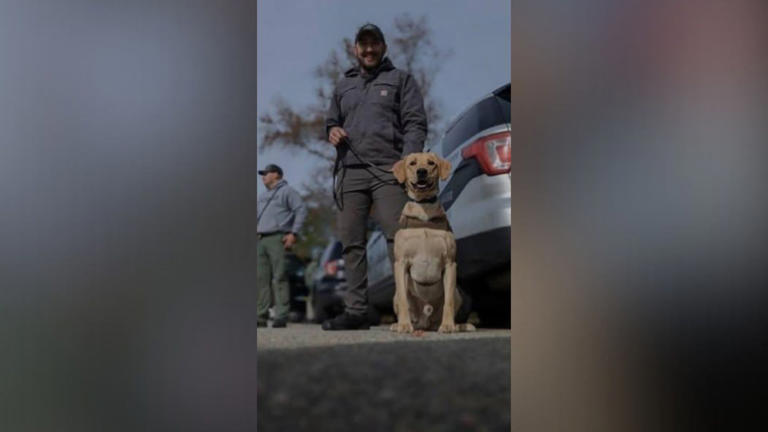 K9 locates 12-year-old missing during freezing weather in western NC