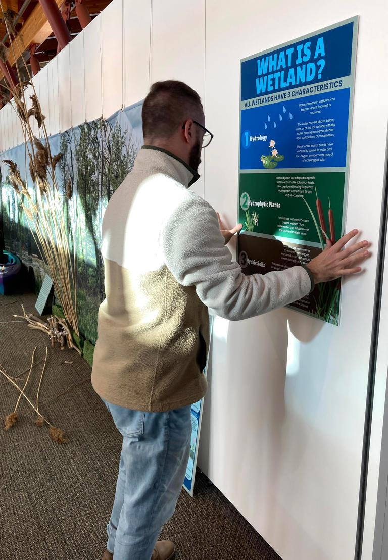 New Ridge Center exhibit highlights 'Wetland Wonders at Presque Isle'
