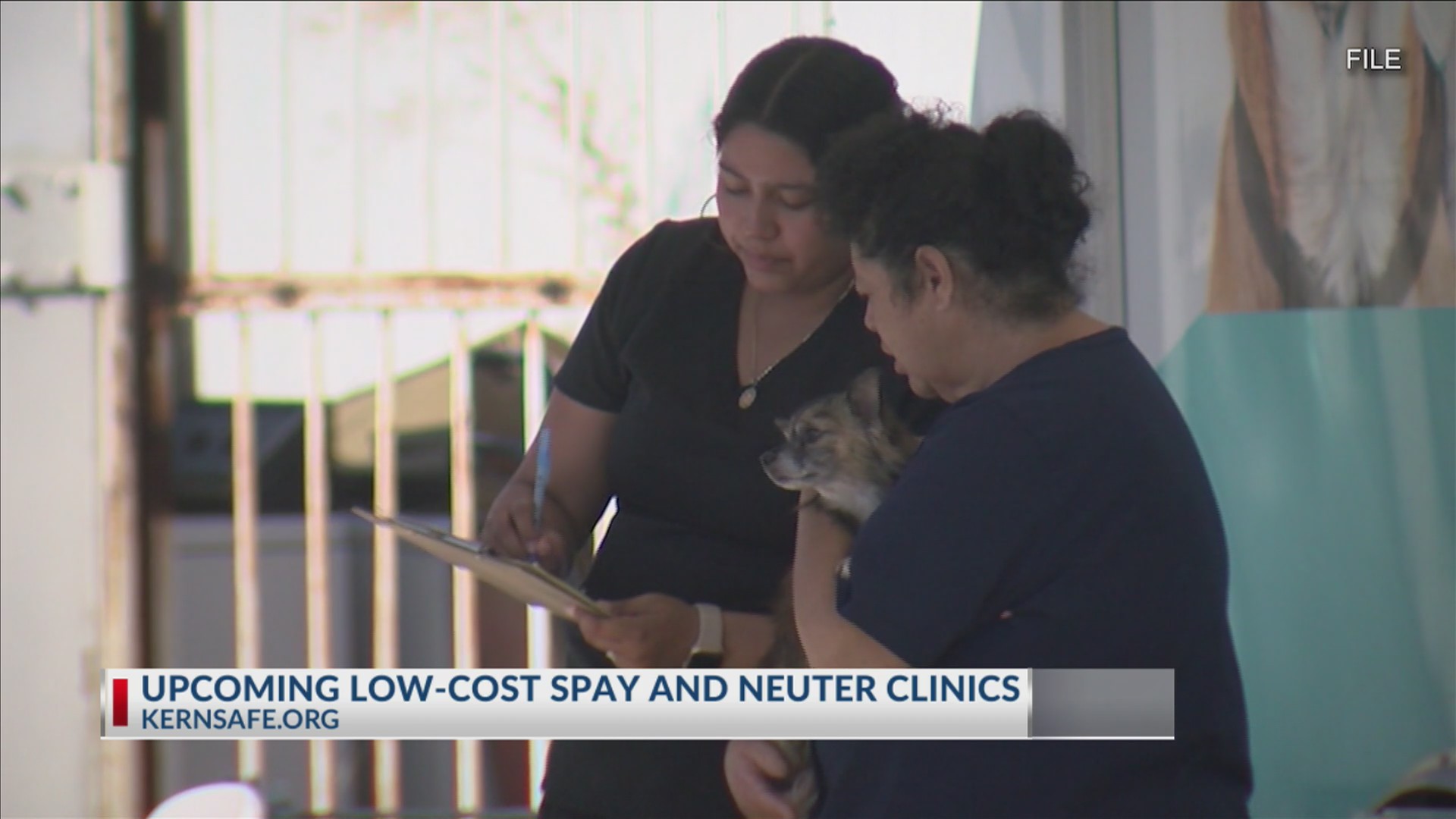 Founder of SOS Dog Rescue talks upcoming spay and neuter clinics