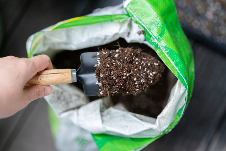 Is it a bad idea to use potting soil that's been sitting in your garage ...