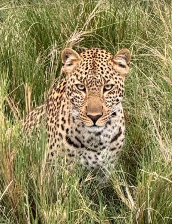 Ellie Costello honeymoon: Inside Breakfast star's dream getaway as she ...