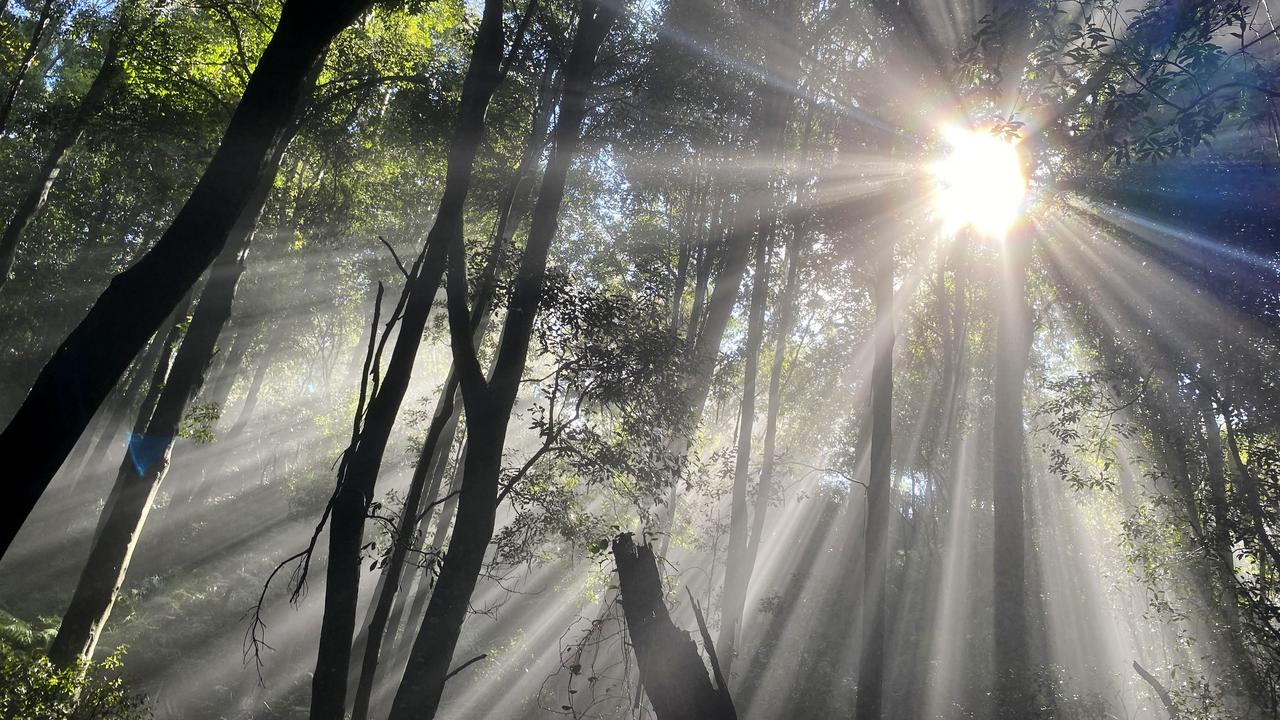 Teenage boy's body found in mountain creek