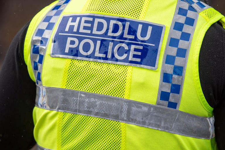 Ferocious dog attacks man on the beach and leaves victim with serious ...