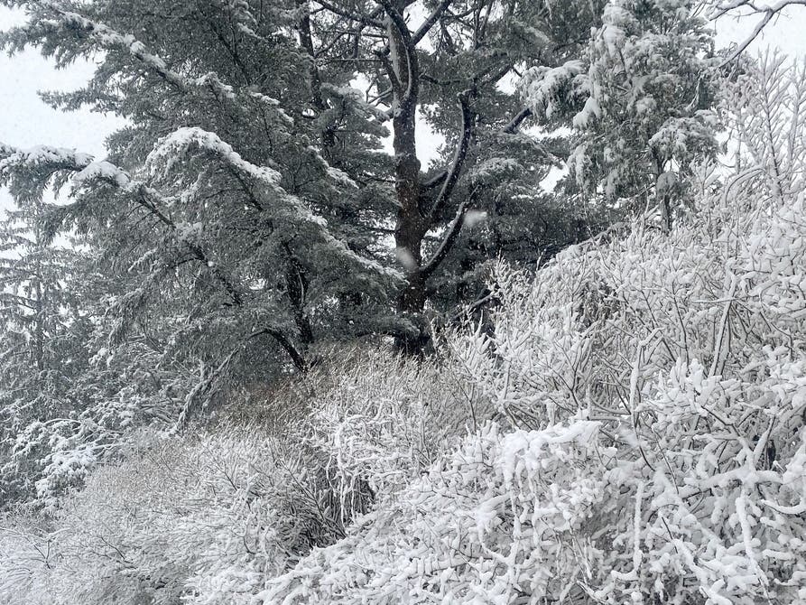 Lastest LI Storm Timeline: Snow Transitions To Sleet, Total ...