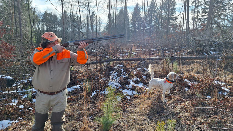 Hunters may have two-week season for rifle deer and pheasants/rabbits