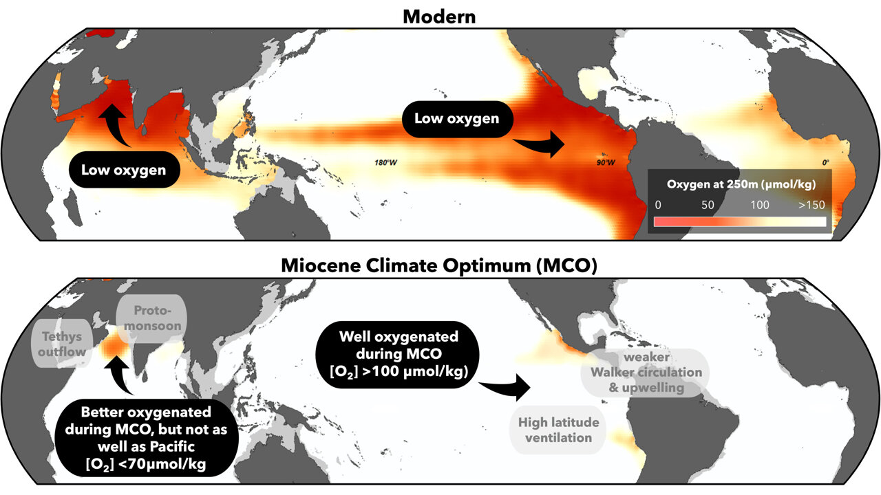 Fossilized plankton study gives long-term hope for oxygen-depleted oceans