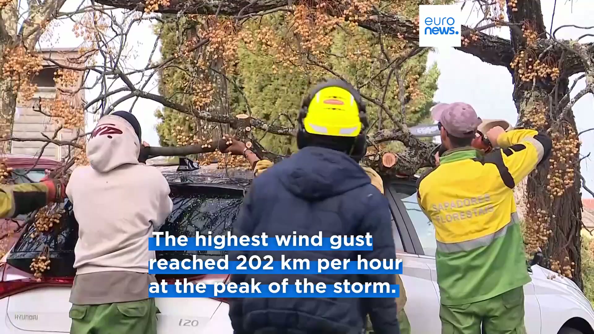 Six dead as storm Kristin wreaks havoc in Portugal with 202 km/h winds