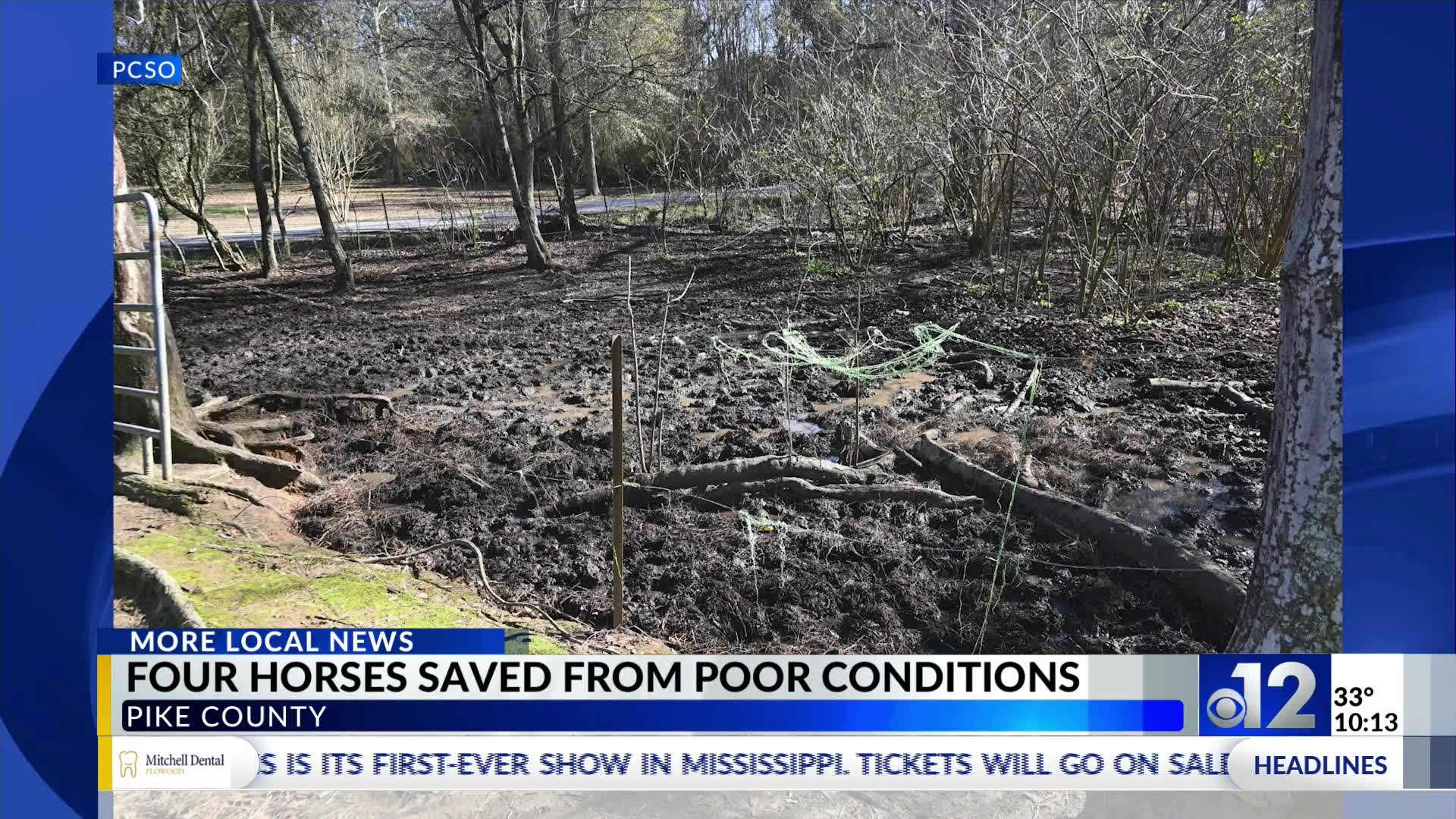 Pike County deputies save four horses from poor conditions