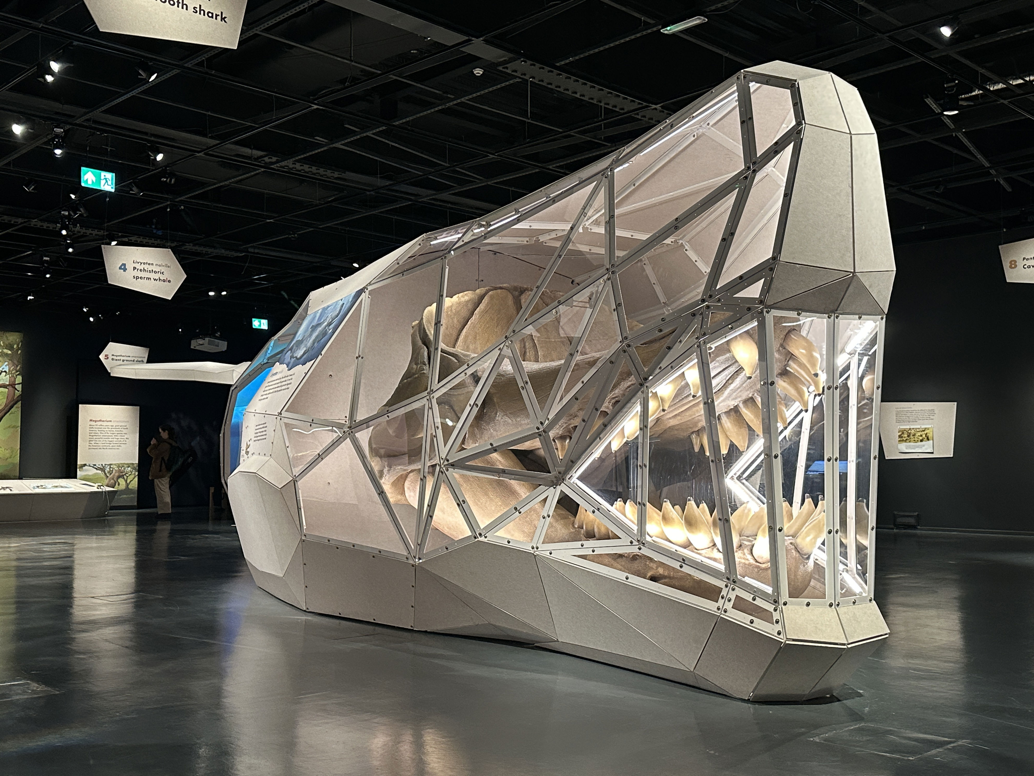 First look at immersive exhibition at Edinburgh museum which will see ...