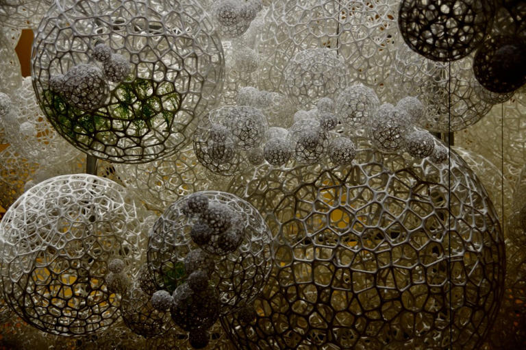 Youtube : la grande purge des vidéos générées par IA a commencé