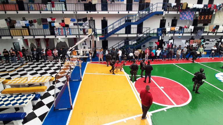 Celulares, licor, armas y casi media tonelada de droga: los hallazgos ...