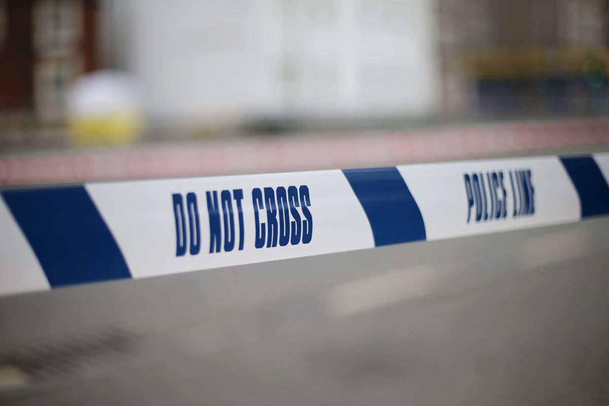 Police seize 20 mopeds in south London immigration raid
