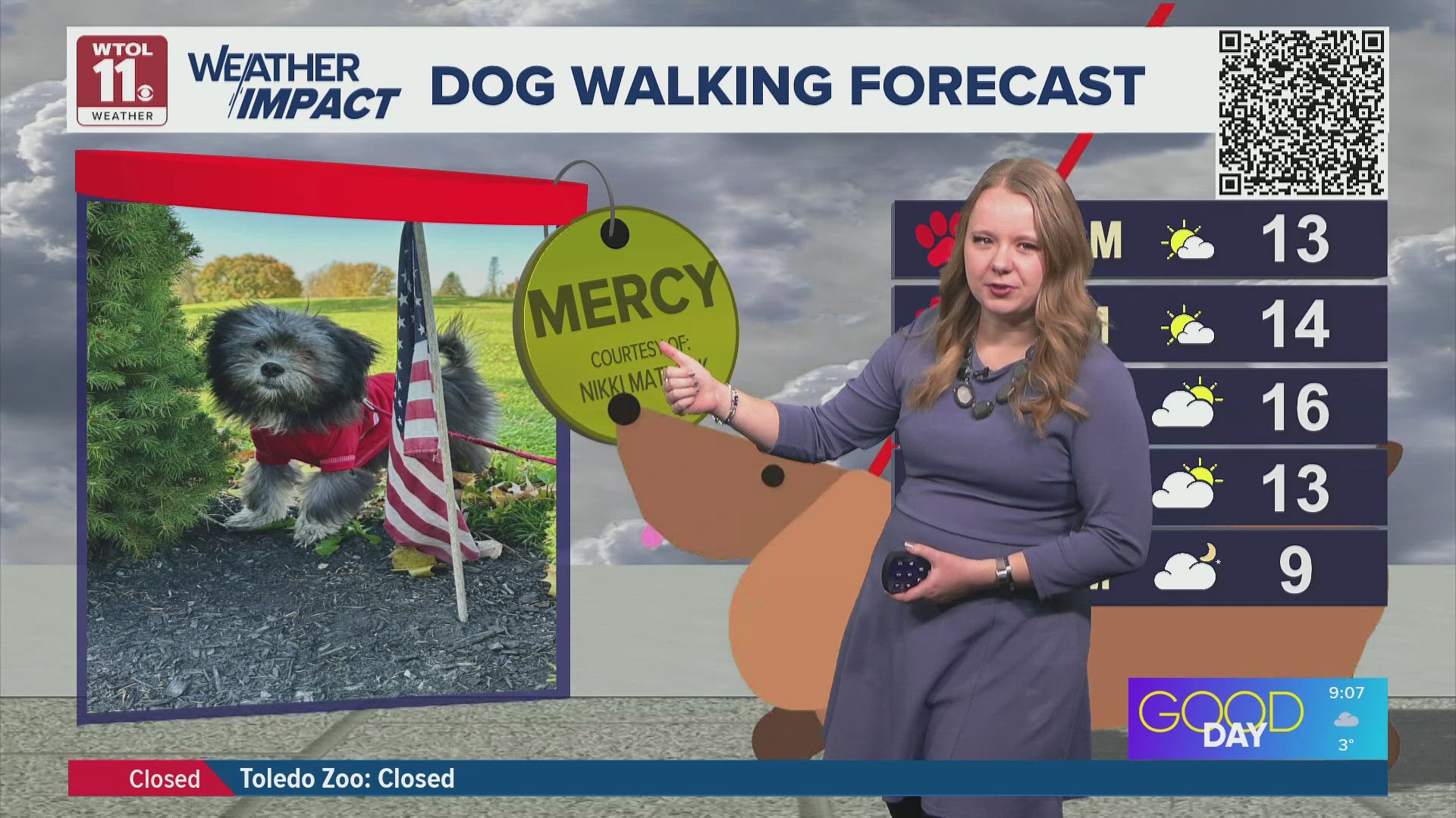 Dog walking forecast: Freezing cold temperatures for a 'red paw' day ...