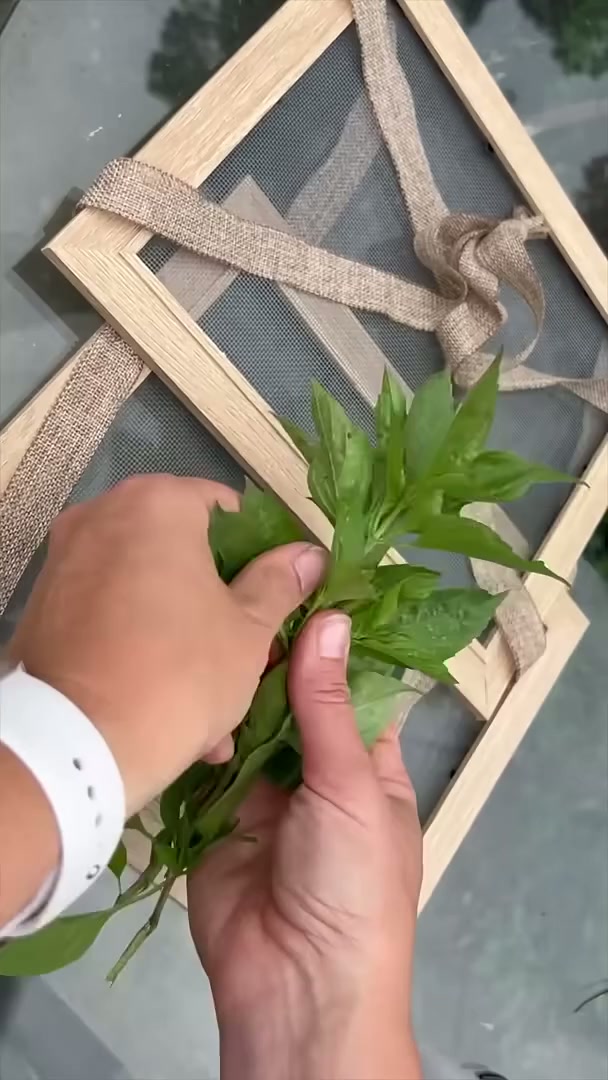 Everyone's grabbing Dollar Store frames for this genius outdoor idea!