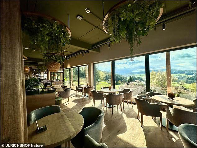 Inside the resort in Germany set to rival Center Parcs - with horse ...