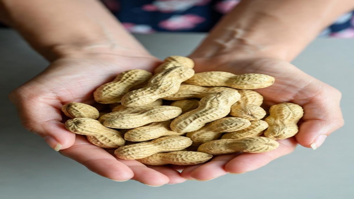 Eating this common snack every day could boost memory and brain health ...