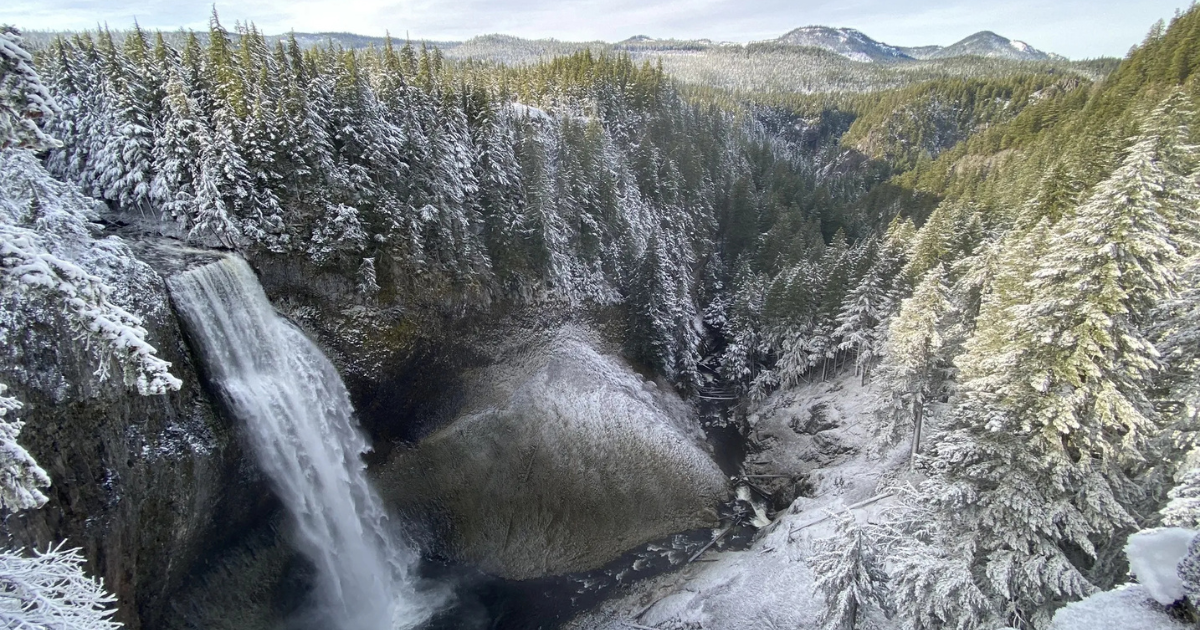 I don't snowshoe, but the Salt Creek Falls trail in Oregon is so much fun